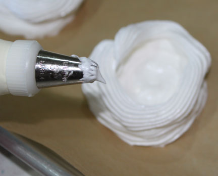 piping-shells-on-pan – Shanna Hatfield