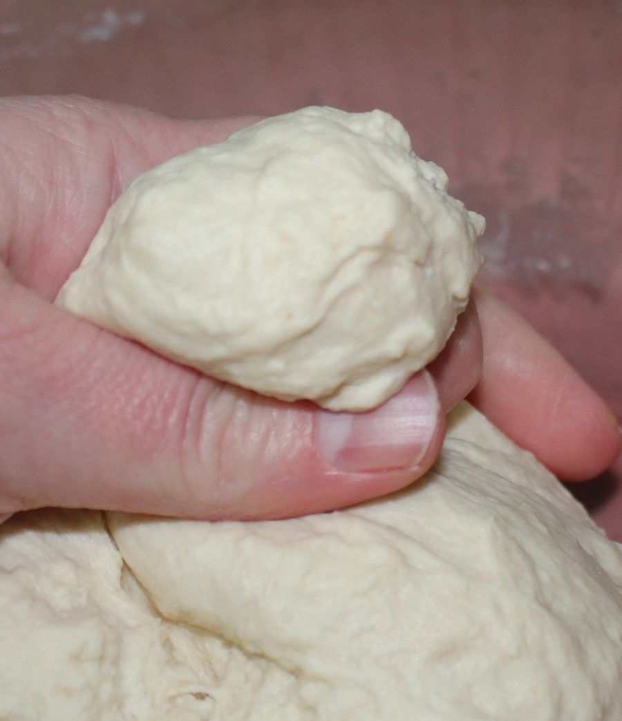 bread-forming-rolls – Shanna Hatfield