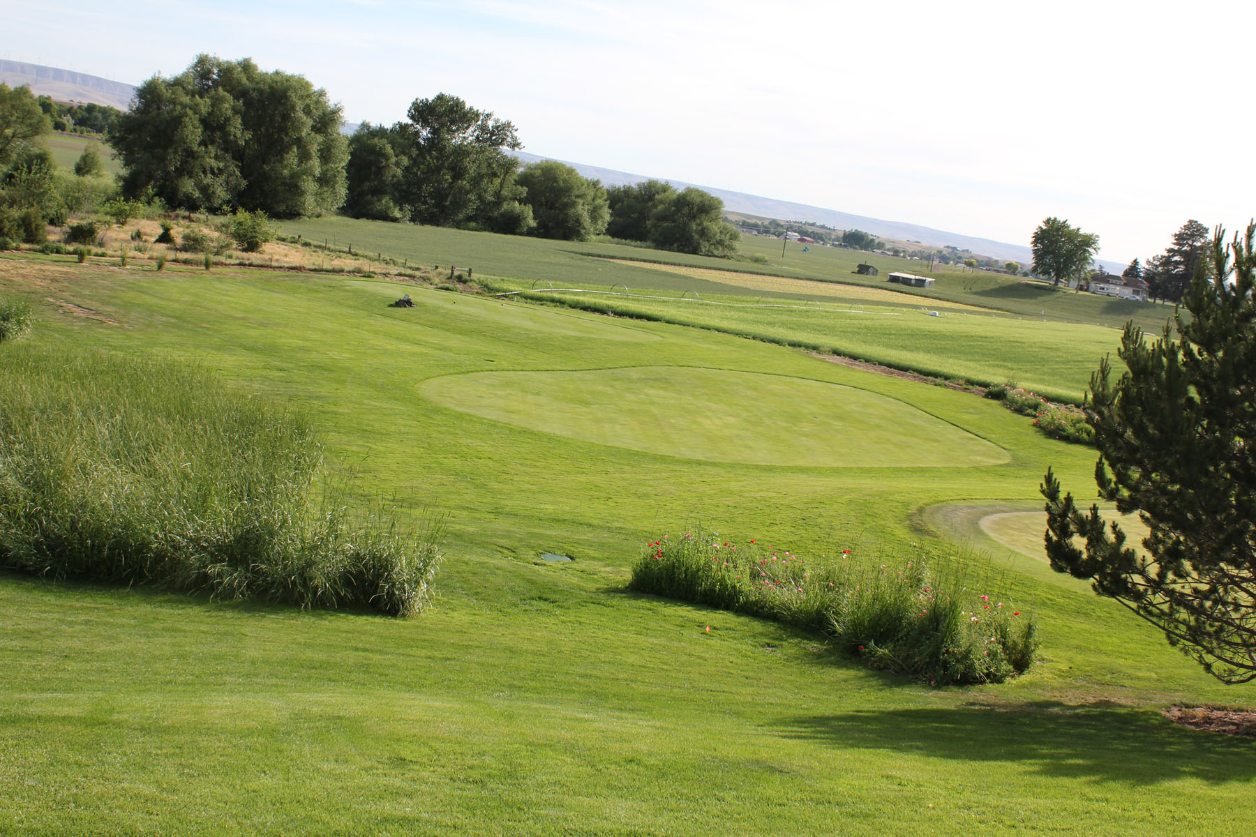 golf-course-2 – Shanna Hatfield