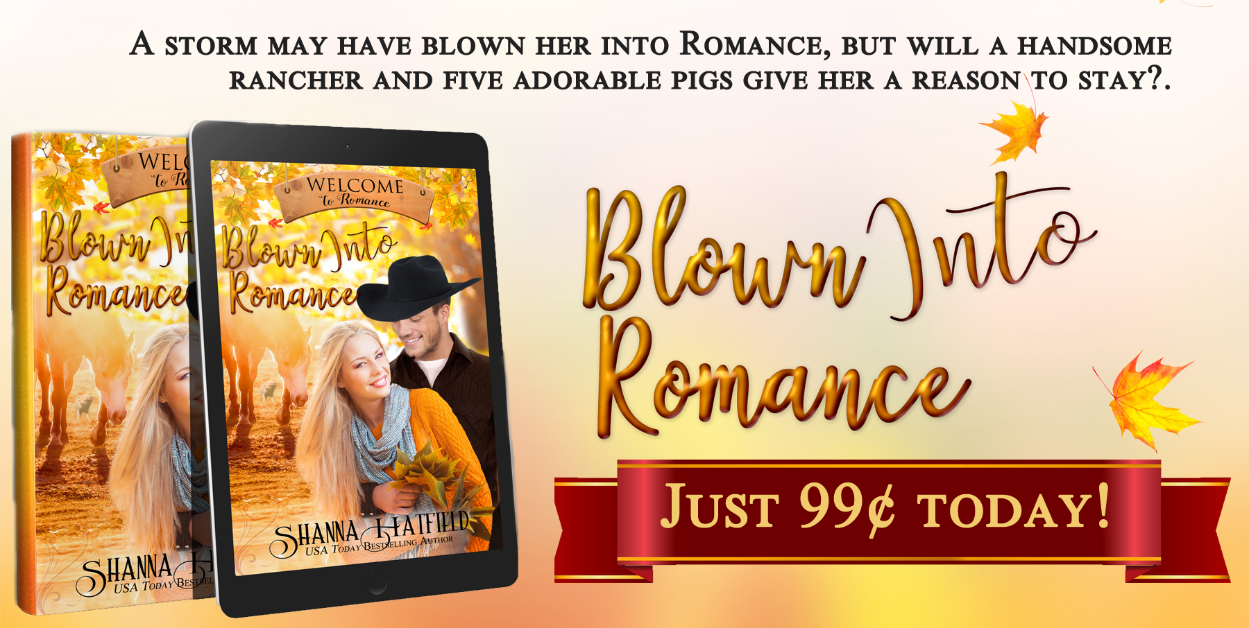 bir-meme-2 – Shanna Hatfield