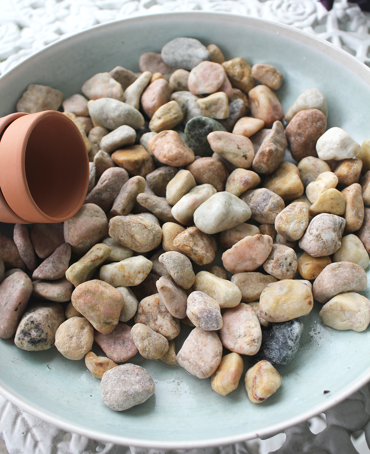 DIY Frog Habitat – Shanna Hatfield