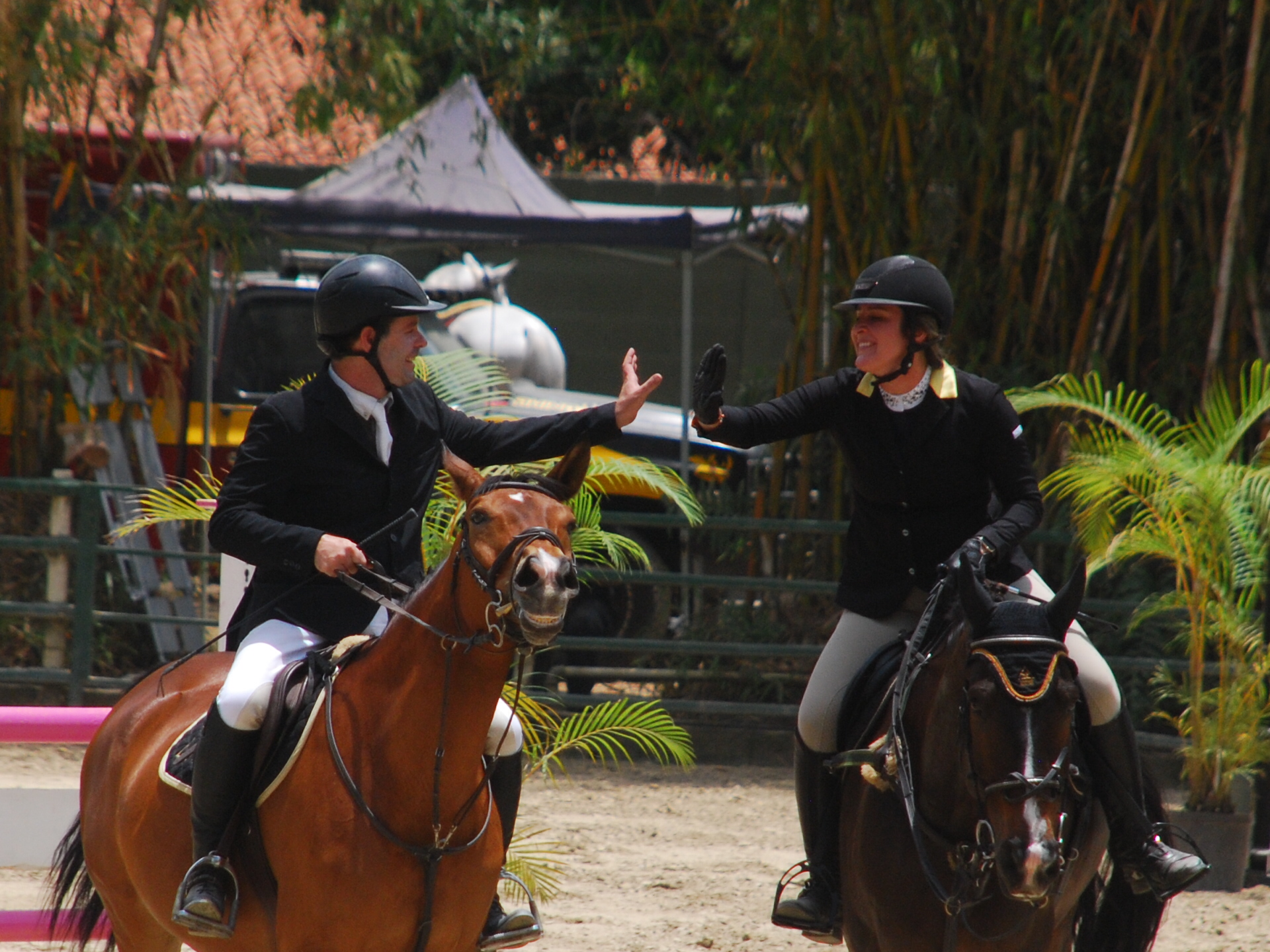 Selección Nacional de Equitación lista para saltar alto en Lima 2019 ...