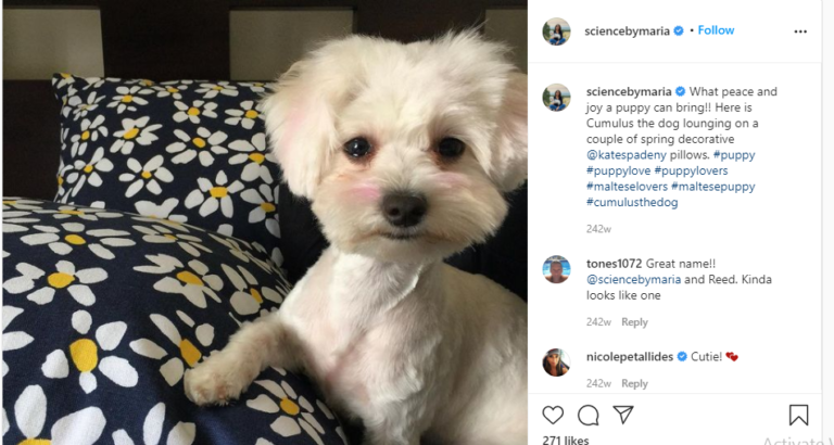 Reed Timmer Biography, Net worth, Career, Bio, Relationships, Parents ...