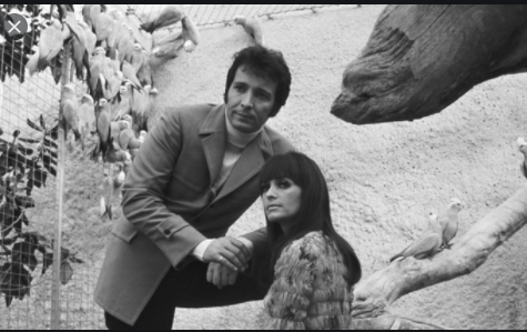 Herb Alpert BiographyHerb Alpert Biography