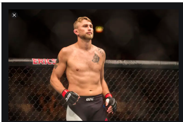 Alexander Gustafsson Biography